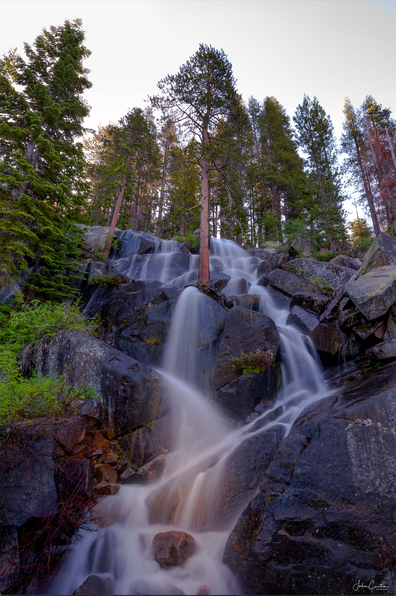 Quaking Aspen Waterfall – Curtin Photography